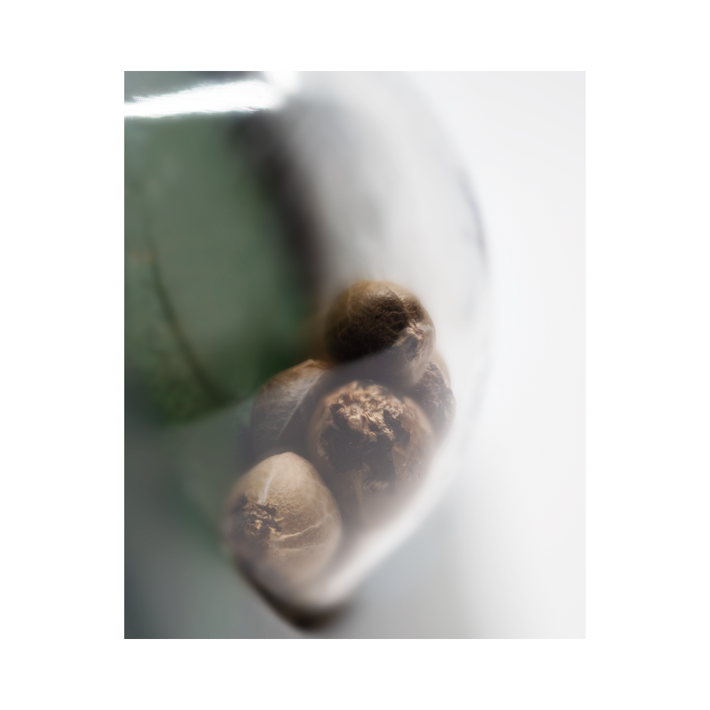 Ed Rosenthal Super Bud Seeds 50/50 – sweet pineapple & spicy aroma